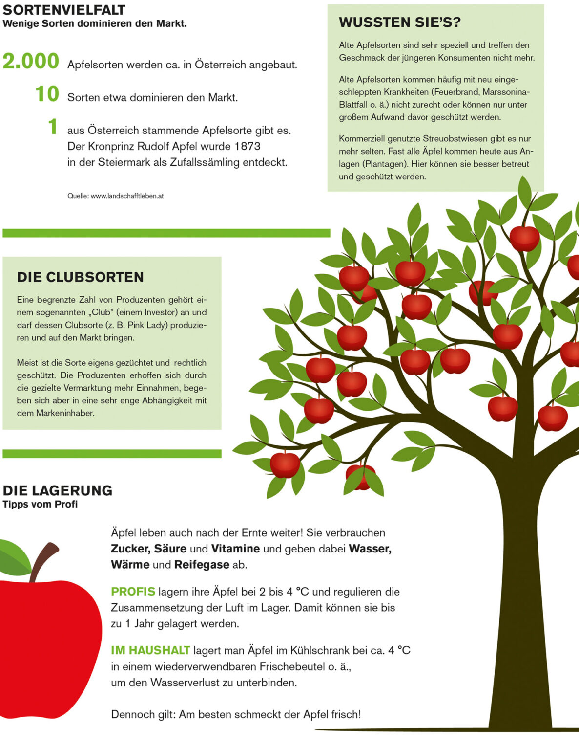 Fakten rund um Äpfel - Ländle Qualitätsprodukte